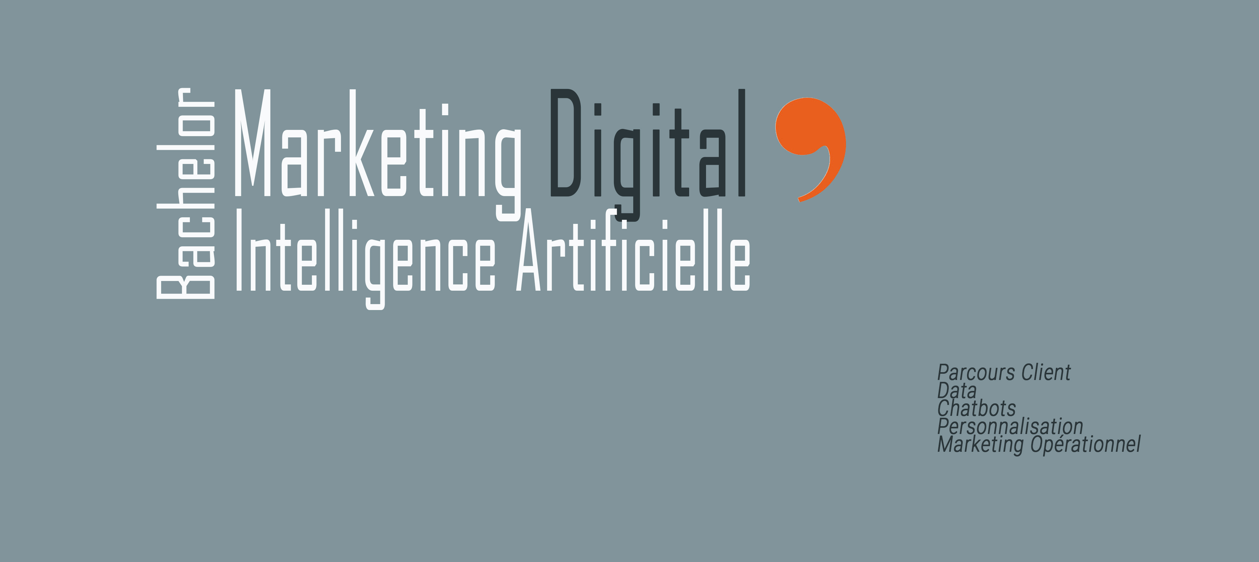 École de Commerce, Business school, WES'SUP GENEVE